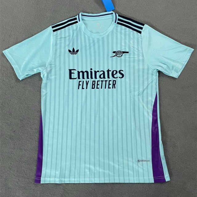 2024-2025 Arsenal Sky Blue Thailand Training Soccer Jersey,Arsenal